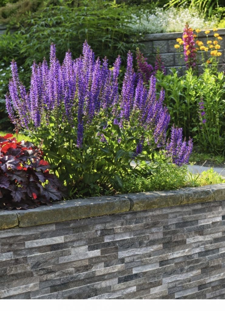 Natural Grey Italian Porcelain Wall Cladding - Sandstone Supplies Uk